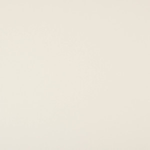 MICHAELS Shimmer Silver & Champagne 8.5”; x 11”; Cardstock Paper by Recollections®, 100 Sheets