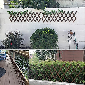 Wooden Lattice Wall 2Pack-Expandable Plant Garden Trellis for Climbing Plants Outdoor Air Plant Vertical Rack Wall Decor for Room Patio