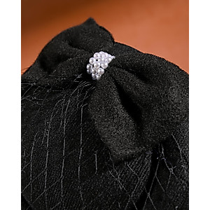 Zivyes Fascinators for Women Tea Party Hats Kentucky Derby 20s 50s Pillbox Hat Birdcage Veil for Funeral Janet Snakehole