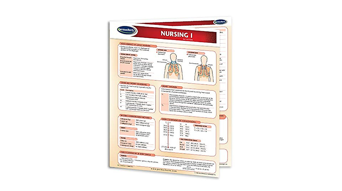 Nursing Year 1 Quick Reference Guide - 20 Chart Bundle