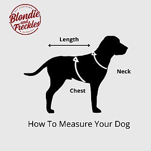 Blondie & Freckles Large Dog Pajamas, Soft Cotton PJs for Big Pups, Lightweight Removable Pullover Pet Jumpsuits, Post Surgery Shirt, Clothing Reduces Shedding & Licking -Pink - 2XL XXL