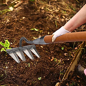 Geraffely Dethatcher Rake - Metal Hand Rakes for Gardening, Weeding,Garden Yard Lawn Heavy Duty Carbon Steel Rake, Cultivator Garden Tool Dethatcher Rake