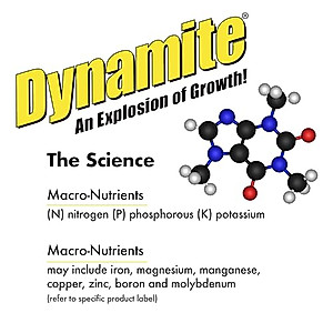 Dynamite Mater Magic - Organic Tomato Fertilizer for Bigger, Juicier Tomatoes and Vegetables, OMRI Listed, Nitrogen and Calcium-Rich Plant Food - .675 Pound Container with Shaker Lid