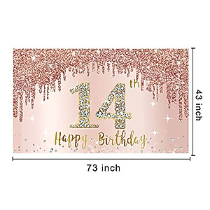 Happy 14th Birthday Banner Backdrop Decorations for Girls, Rose Gold 14 Birthday Party Sign Supplies, Pink 14 Year Old Birthday Poster Background Photo Booth Props Decor