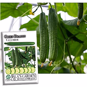 "Green Dragon" Cucumber Seeds for Planting, 50+ Heirloom Seeds Per Packet, (Isla's Garden Seeds), Non GMO Seeds, Botanical Name: Cucumis sativus, 90% Germination Rate