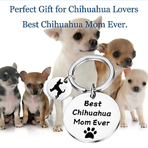 Lywjyb Birdgot Chihuahua Mom (Chihuahua Mom)
