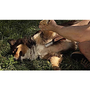 Alpha Pro All-in-One | Pain-Free | Grooming Tool Painlessly and Safely Removes Knots and Tangles from Long Haired Dog | Gift for Dog Owners | Christmas Gift for Dogs Comes in a Giftable Package