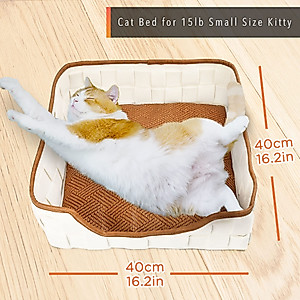 PrimePets 16 inch Cat Bed for Indoor Cats, with Reversible Mat, Anti Slip Washable Sleeping Bed for Small Breed Pets Dogs Animals, Square