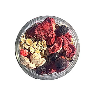 Snout and Shell Fruity Breakfast Blend Hermit Crab Dry Food - High Protein & Nutrient Blend Diet of Rolled Oats, Blueberries, Strawberry, Banana, Sprouted Seeds Mix - Aquatic Pet Snack Treat | 65g