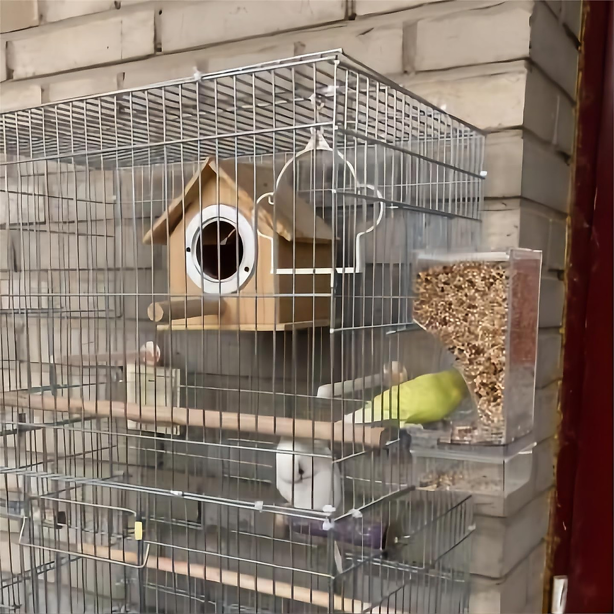 Baeluny No Mess Automatic Bird Feeders Transparent Parakeet Food Seed Feeders Acrylic Parrot Food Container Accessories Suitable for Parrot Cockatoo Canary Lovebird and Small Birds