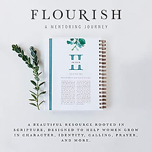 Flourish: A Mentoring Journey - Year One