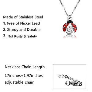 FUSTMW Ladybug Pendant Necklace Ladybug Gifts Jewelry Ladybug Necklace Charm Inspirational Gifts for Women (silver)