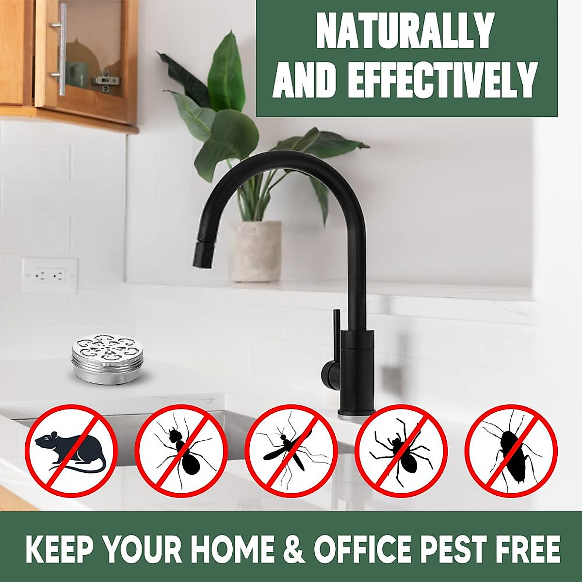 Two Bros. Repellent All Pest Repellent,Peppermint Rodent Repellent Indoor, Mouse Repellents, Mice Repellent, Rat Deterrent,Naturally and Strongly Repel Spider,Roach,Bugs,Ant, & Other Pests-2P, Black