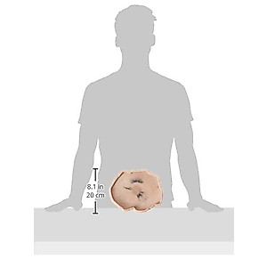 Zoo Med Reptile Rock Food Dish, Large, Colors May Vary