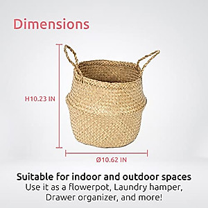 Compactor Natural ?Belly? Basket (Small)