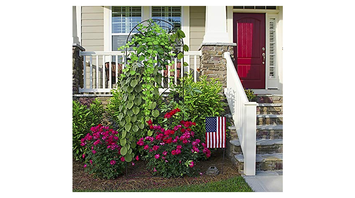 Sturdy Metal Garden Trellis for Climbing Plants