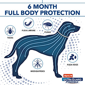 Hartz UltraGuard ProMax Flea & Tick Collar for Dogs I 12 Months Protection I Soft & Comfortable Flea & Tick Prevention I 2 Pack,Gray