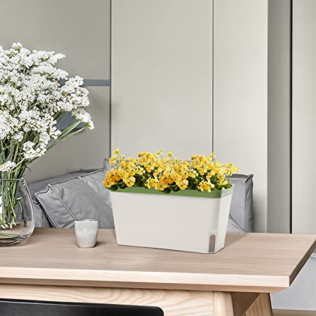 GardenBasix Self Watering Planter Pots Window Box for Indoor Plants Home Garden Modern Decorative Flower Pot for All House Herbs Succulents Set of 6 (6, Green(Rectangle))