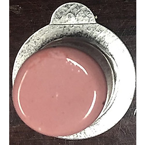 Bubble Gum Flavored Professional Strength Tooth Polish - Fine, 14 Cups