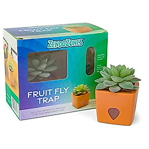 ZendoZones Fruit Fly Trap with Zendo Lure, Tranquil Tabitha with Plastic, terracotta Base, Refillable and Reusable, Long-Lasting