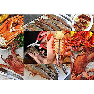 ROEDEER Kitchen Stainless Steel Seafood Scissors for Lobster,Shrimp,Crab,Crab Claw,King Crab Leg,Fish,Shellfish,Crawfish,6" And 7" 2PCS Shears