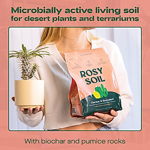 Cactus and Succulent Organic Potting Soil Mix for House Plants - Fast Draining, Root Boosting, Peat-Free Soil for Drought Tolerant Growth of Aloe Vera, Cacti and Indoor Succulents Plants - 4 qt