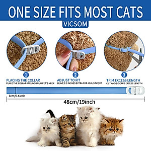 4 Pack Flea Collar for Cats, Cat Flea and Tick Collar 8 Months Prevention Cat Flea and Tick Treatment, Waterproof Adjustable Cat Flea Collar, Natural Anti Tick and Flea Collar for Kitten, Blue
