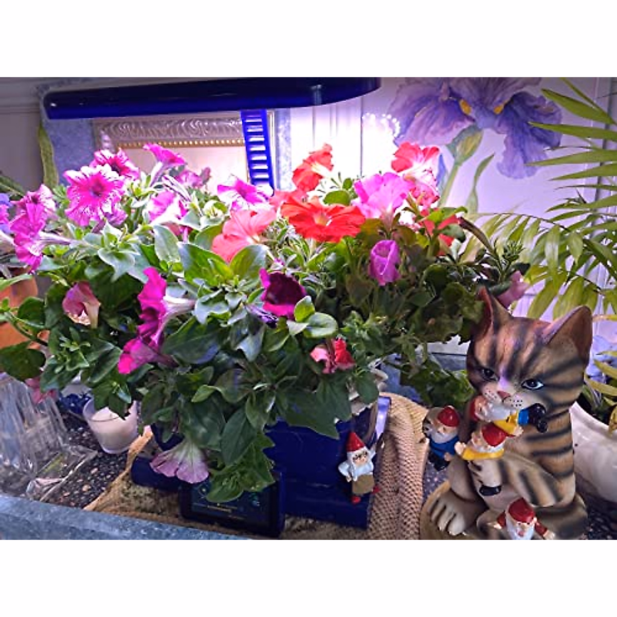 By Mark & Margot Mischievous Cat with Granny - Black Stripes (Mischievous Cat)