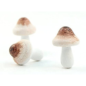 Meyer Imports Mini Wooden Mushroom Decoration (6 Piece) - Miniature Mushrooms for Fairy Garden Art/Crafts/Dollhouse/Figurines Decor - Natural
