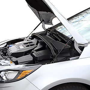 Redline Tuning 21-11025-02 Hood QuickLIFT PLUS Bolt in Struts Compatible with Ford Focus 2012-2018 (All Black Components)