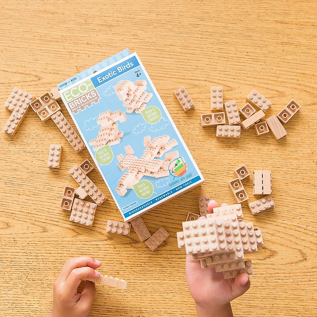 Eco-Bricks 3 in 1 Builds Bird - Earth-Friendly Kids Building Blocks - Create 3 Different Birds - Cockatiel, Toucan, Macawi