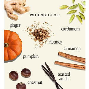 Votivo Spiced Chai 10 oz Holiday Candle | Soy Wax Blend | Fall Candle | Pumpkin Candle | Candle Gifts | Fall Home Decor | Long Burning & Highly Scented