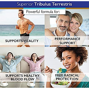 Superior Labs - Tribulus Terrestris - Performance Support & Cortisol Blocker with 45% Saponins, High Potency & Pure 1500mg Dosage, 180 Vegetable Caps - Supports Vitality - with Added BioPerine®