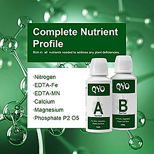QYO Base A & B Nutrients(200ml in Total), Plant Growing Nutrient Plant Food for All Plants, All-Purpose Concentrated Fertilizer for Any Hydroponics System, Potted Houseplants, for Outdoor & Indoor