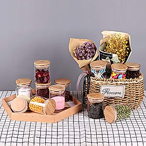 Tzerotone Glass Jars Set,Upgrade Spice Jars with Wood Airtight Lids and Labels, 6oz 12 Piece Small Food Storage Containers for Home Kitchen, Tea, Herbs, Sugar, Salt, Coffee, Flour, Herbs, Grains…