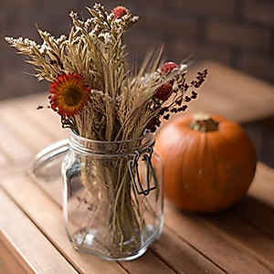 Bormioli Rocco Fido Canning Jar, Set of 3, 3 piece set, Clear