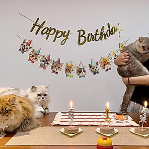 YUNSHANGMO Happy Birthday Banner Cat Garland Funny Birthday Decor Cat Face Bday Party Bunting Decorations Gold Birthday Sign