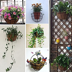 Metal Hanging Planter Basket with Coco Coir Liner Wall Mount Wire Plant Holder for Indoor Outdoor Garden Porch and Balcony (2 Pack) (10 inch)