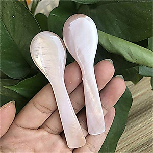 EvaGO Handmade Caviar Spoons Mother of Pearl MOP Caviar Spoon W Round Handle 3.55 inch, 2 pack