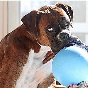 Jolly Pets Romp-n-Roll Rope and Ball Dog Toy, 8 Inches/Large, Blueberry, All Breed Sizes