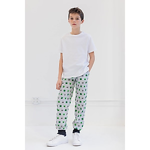 Minecraft Mobs Little Boys Fleece 2 Pack Jogger Pants Black/Green/Grey 5