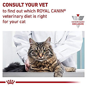 Royal Canin Veterinary Diet Satiety Support Weight Management Loaf in Sauce Wet Cat Food, 5.1 oz, Case of 24, 24 X 5.1 OZ