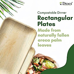 Dtocs Palm Leaf Plates 6x9 Inch Rectangle Tray (Pack 50) | Bamboo Plate Like Biodegradable Compostable Plate, Disposable Charcuterie Board, Mini Cheese Board | Sturdy Than Heavy Duty Paper Plates
