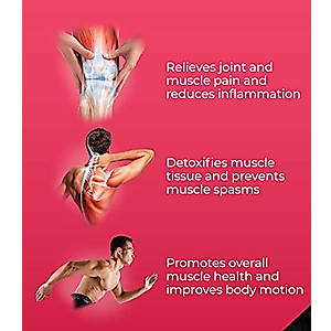 Mountain Ice Muscle Pain Relief Gel for Back & Neck Pain, Sprains, Soreness, Reduce Inflammation Fast, Made with Natural Ingredients,Made in The USA (1)