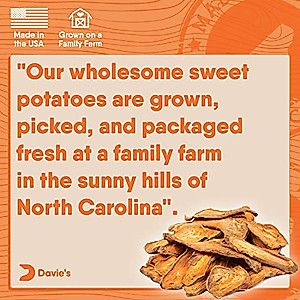 Davie's Sweet Potato Dog Treats, Made in The USA, High in Fiber, Grain Free, Vegan, No Preservatives, Vegetarian Alternative to Rawhide Chews, Rich in Vitamins, Large 1 lb. Bag