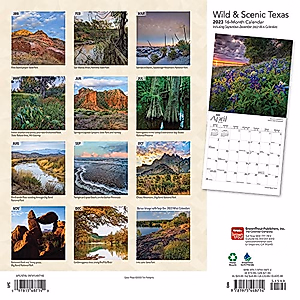 Texas Wild & Scenic | 2023 12 x 24 Inch Monthly Square Wall Calendar | Foil Stamped Cover | BrownTrout | USA United States of America Southwest State Nature
