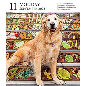 Dog Page-A-Day Gallery Calendar 2023: An Elegant Canine Celebration