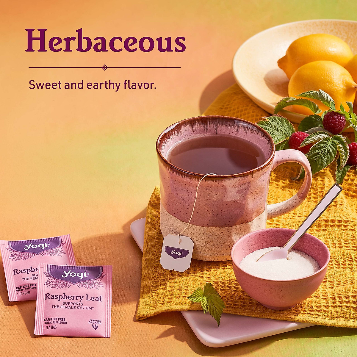 Yogi Tea - Raspberry Leaf Tea (6 Pack) - Supports the Female System - Uterus Support for Pregnancy and Menstruation - Caffeine Free - 96 Organic Herbal Tea Bags