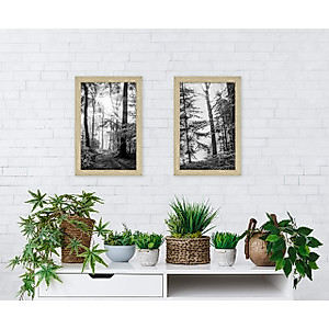 MCS Studio Gallery 11x17 Picture Frame Natural Woodgrain, Rectangle Photo Frame for Photos, Posters & Art Prints (2-Pack)