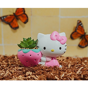 Toynk Sanrio Hello Kitty Strawberry 5-Inch Planter with Artificial Succulent